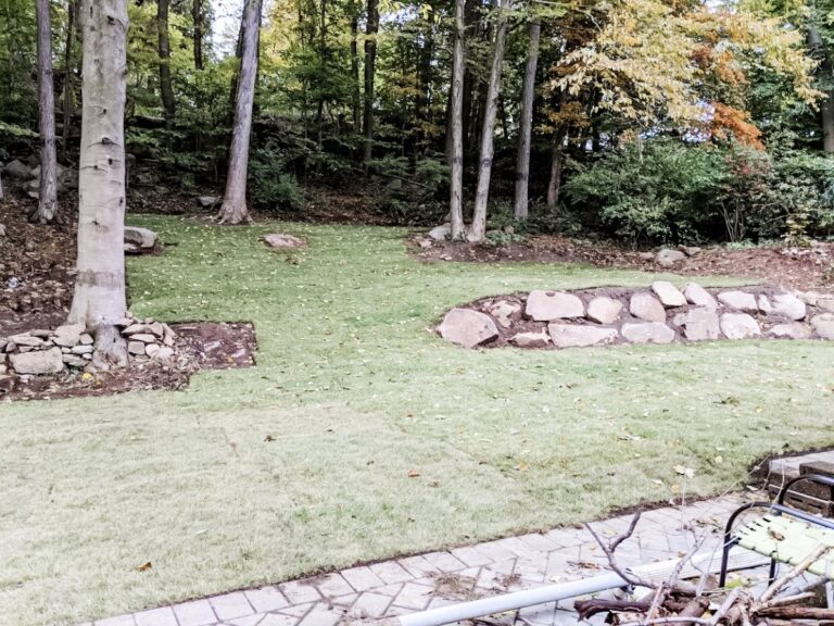 Our Complete Yard Renovation – Living Rich At Home