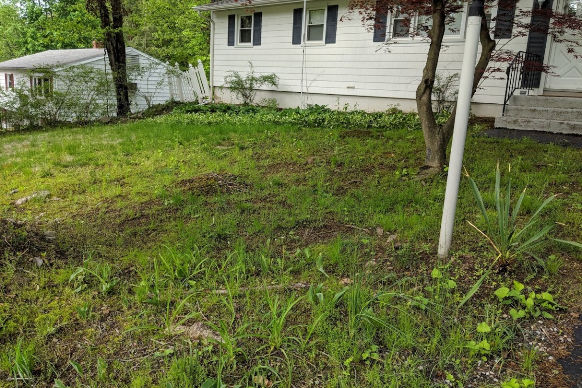 Our Complete Yard Renovation – Living Rich At Home